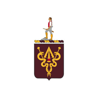 427th US Army Medical Battalion Patch