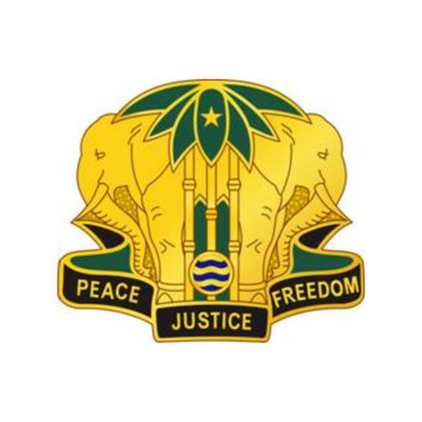 40th US Army Military Police Battalion Patch