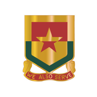 313th Cavalry Regiment Patch