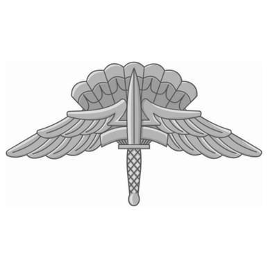 Basic Military Free Fall Parachutist Badge, US Army Patch