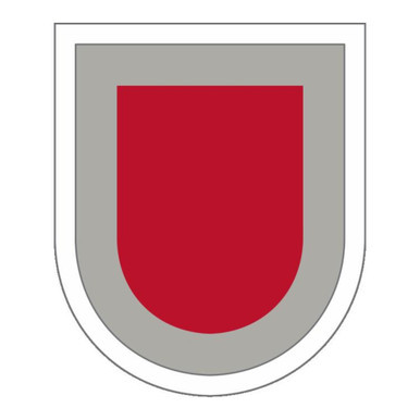 54 Engineer Battalion US Army Patch