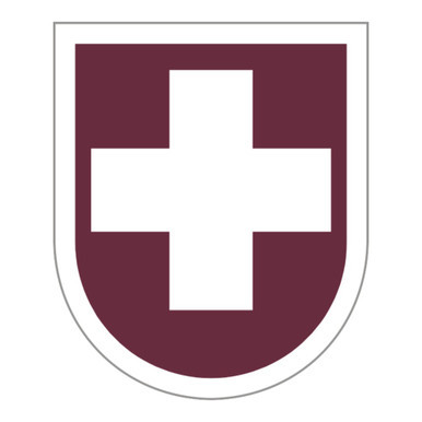 8th Medical Detachment US Army Patch