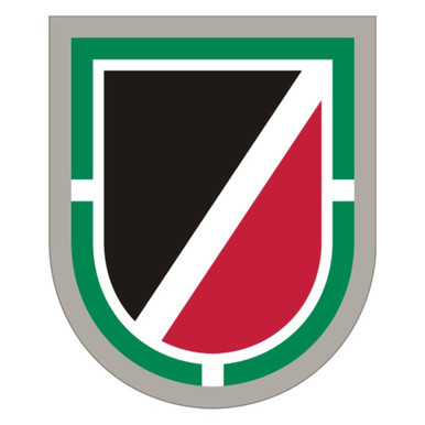 301 Psychological Operations Company US Army Patch