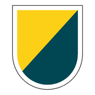 8th Special Forces Group (Beret Flash), US Army Patch