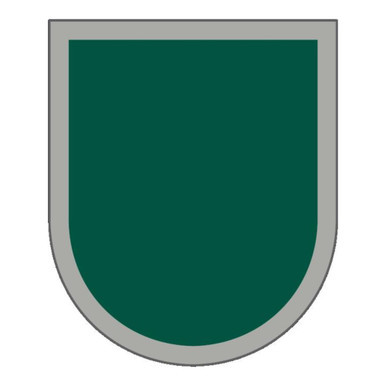 1st Special Forces Command US Army Patch
