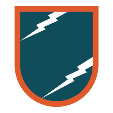 313 Military Intelligence Battalion US Army Patch