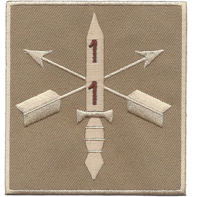 1st Battalion 1st Special Forces Group Combat Helmet Desert Patch ...