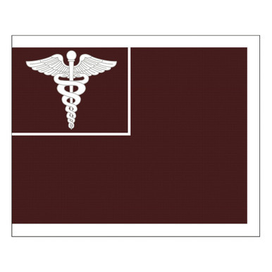 Troop Commands and Medical Brigades of Medical Centers (Distinguishing ...