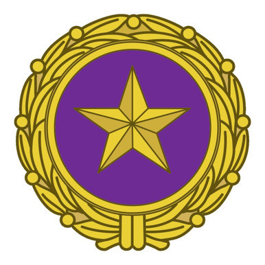 Gold Star Lapel Button, US Army Patch