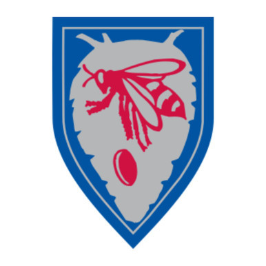 North Carolina Army National Guard Element, Joint Force Headquarters Patch