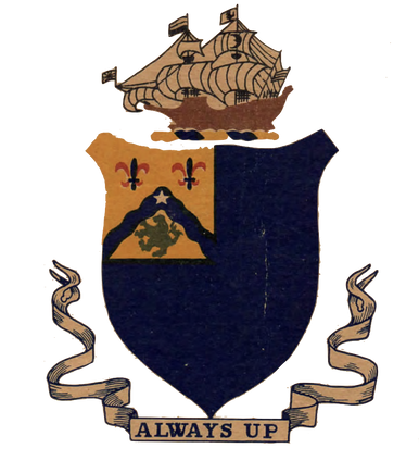 801st Tank Destroyer US Army Battalion Patch