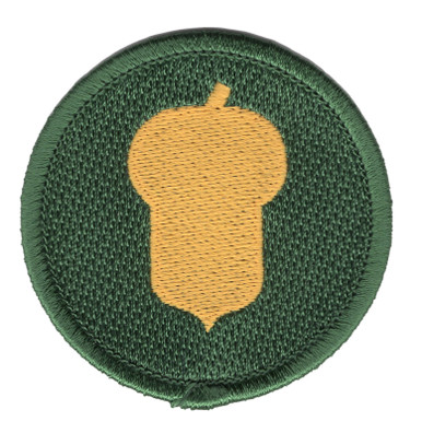 87th Training Division Golden Acorn US Army Patch