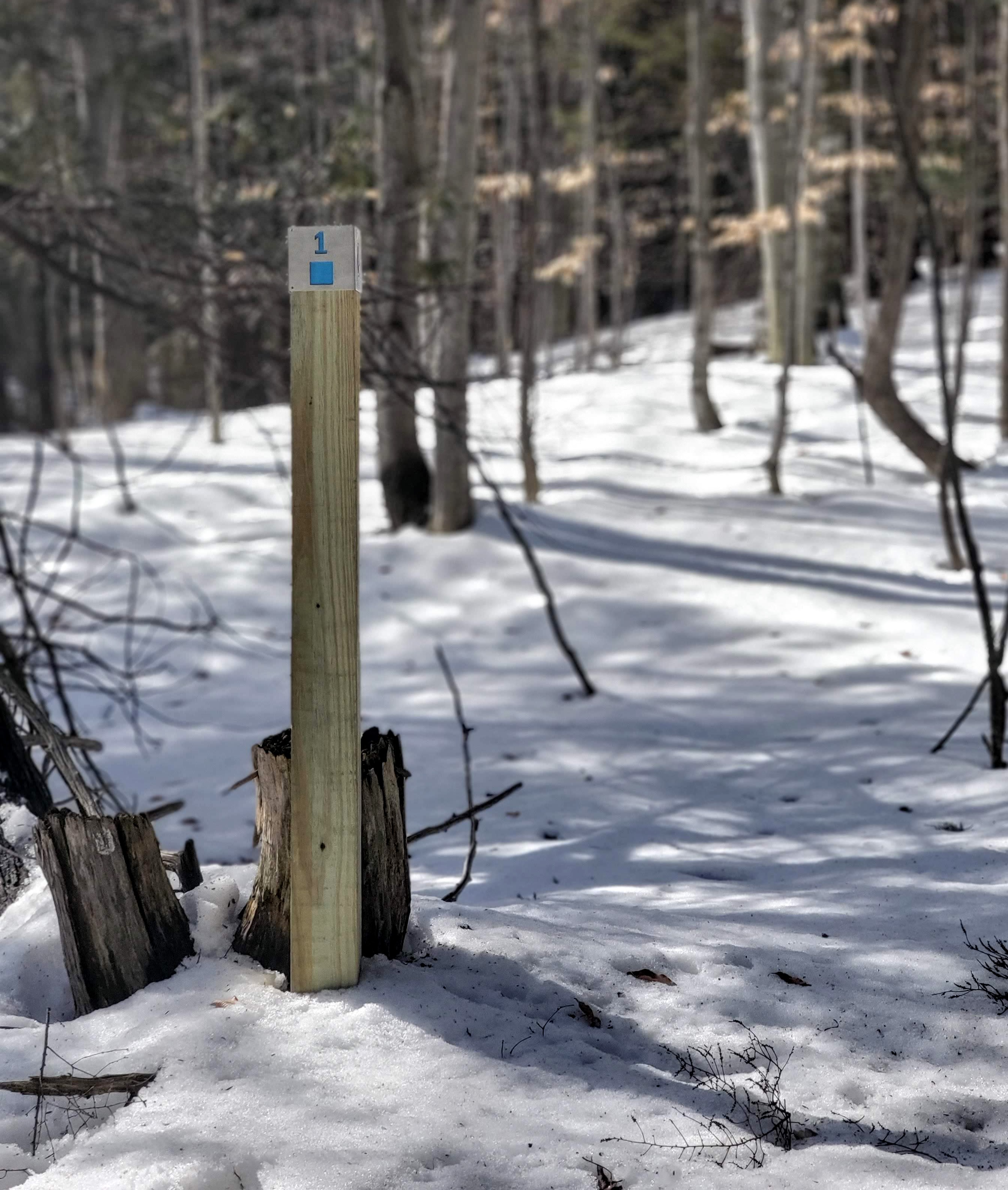 Here's Your Sign: Steel MTB Trail Markers That Last - up.bike