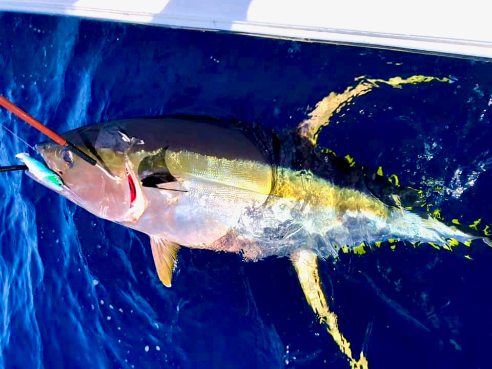 Bluefin Tuna Fishing Tackle | Tuna Fishing Spreader Bars, Squid Rigs ...