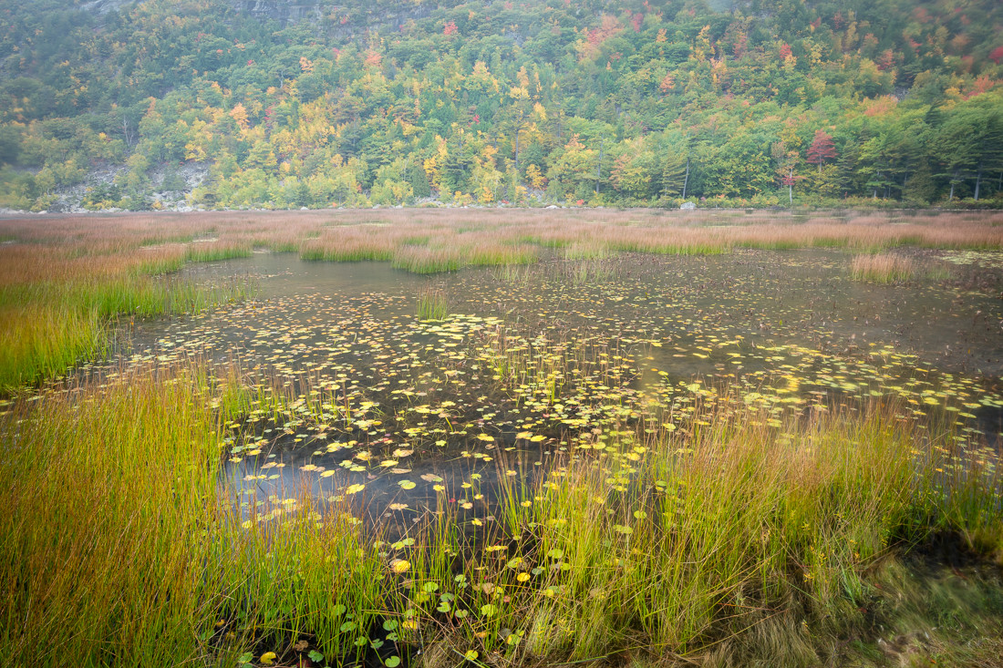 The Tarn, Acadia National Park - Vern Clevenger Photography