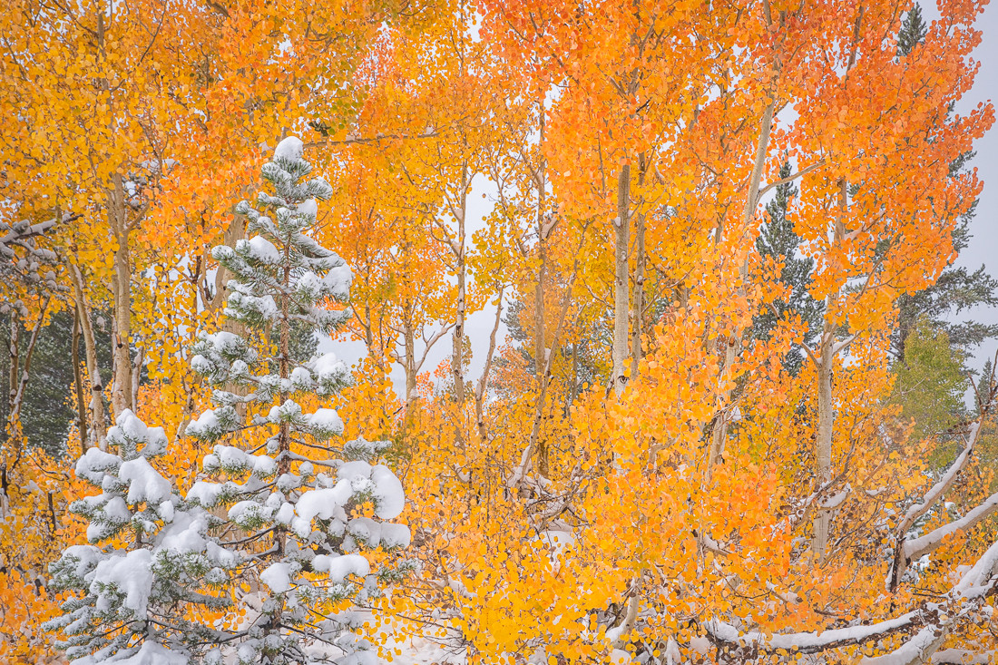October Autumn 2 - Vern Clevenger Photography