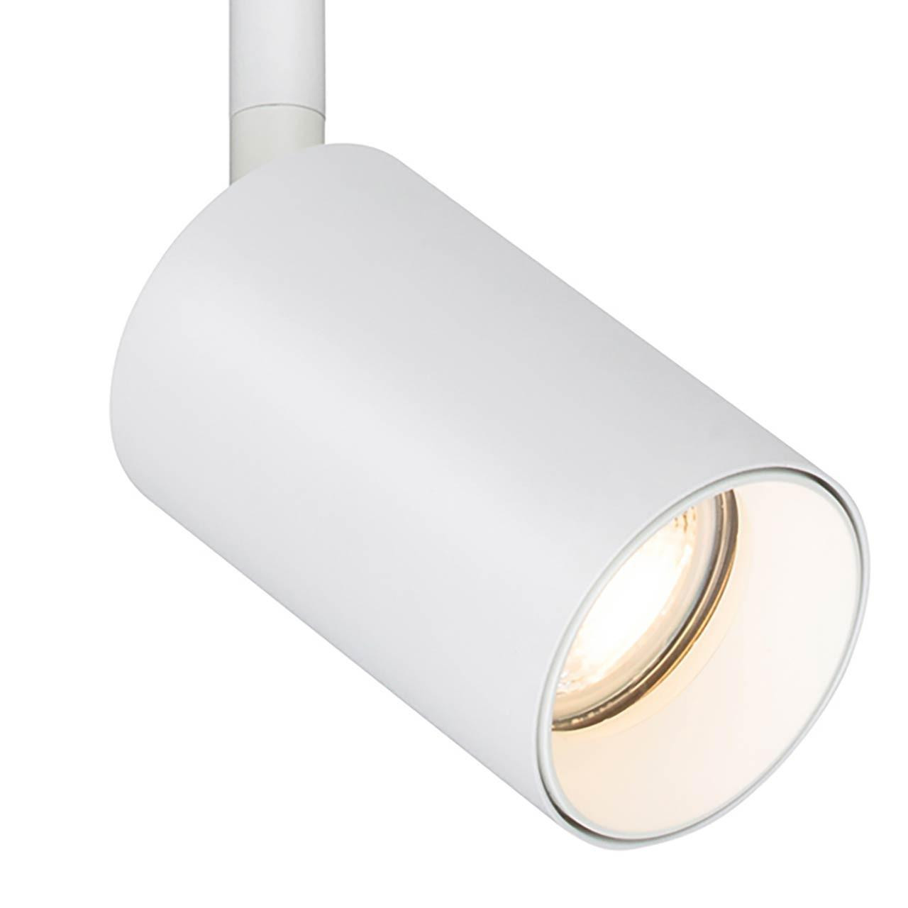 Firstlight Max Display Track Light in White | Lightbulbs Direct