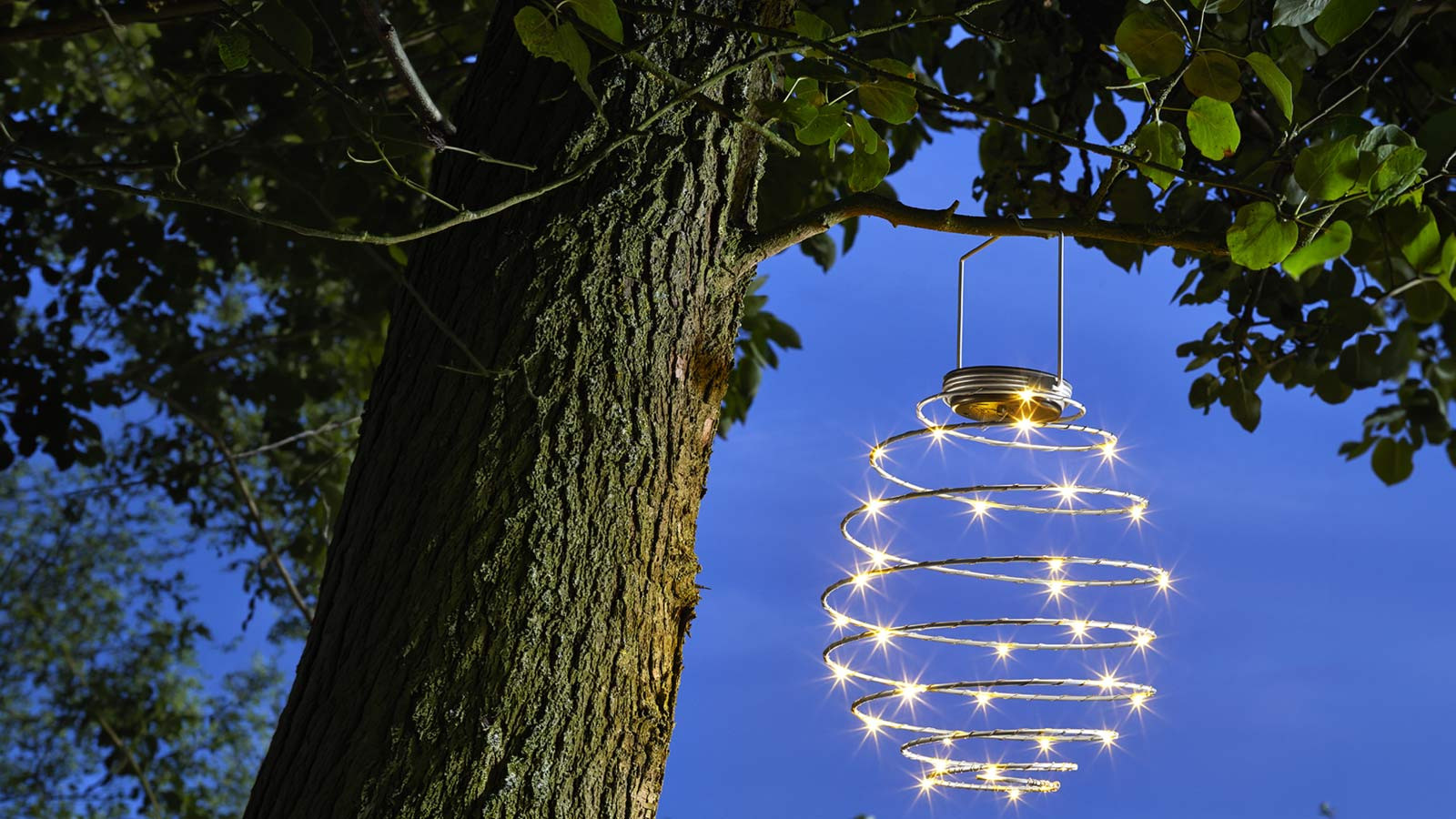 Every Light Bulb You'll Ever Need | Lightbulbs Direct