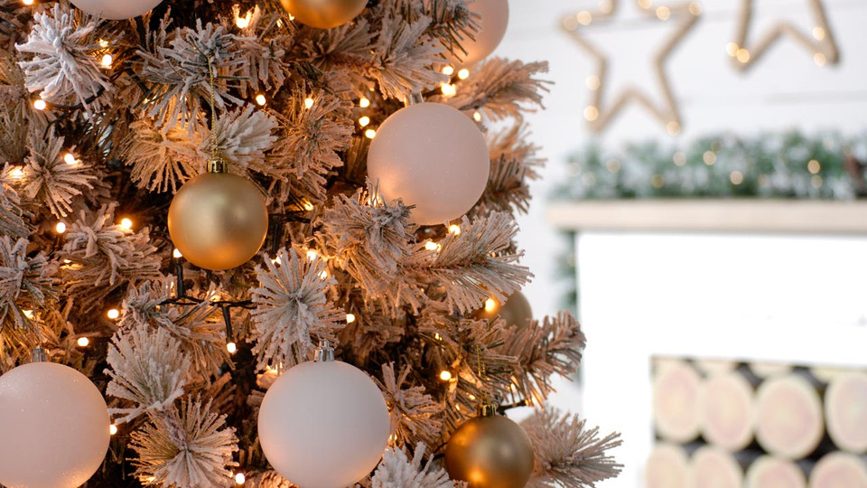 Every Light Bulb You'll Ever Need | Lightbulbs Direct