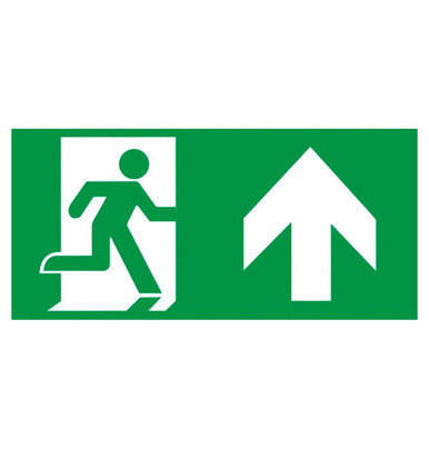 Phoebe LED Emergency Exit Blade Up Legend for use with Emergency Blade ...