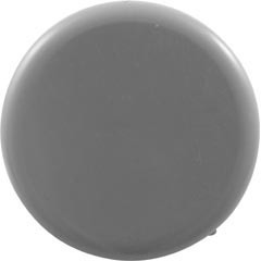 Buy Waterway Plastics Lo Pro Injector Thd Cap Only, Gray | 672-2137 For ...