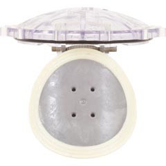 Pentair 270119Z Check Valve Flapper Replacement Kit