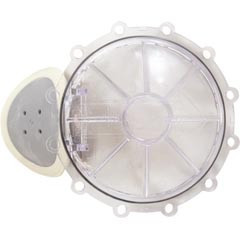 Pentair 270119Z Check Valve Flapper Replacement Kit