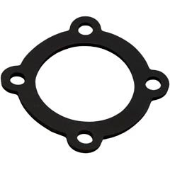Buy Pentair/American Products Light Gasket, American Products ...