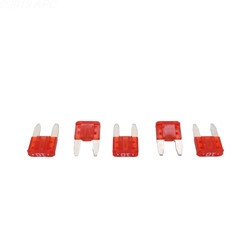 Pentair 522745 IntelliChlor Power Center Fuse