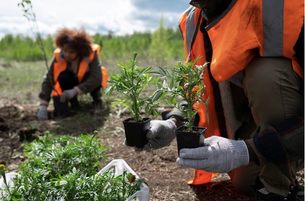 Planting Power: How Skid Steer Auger Bits Turn Tree and Shrub Planting ...