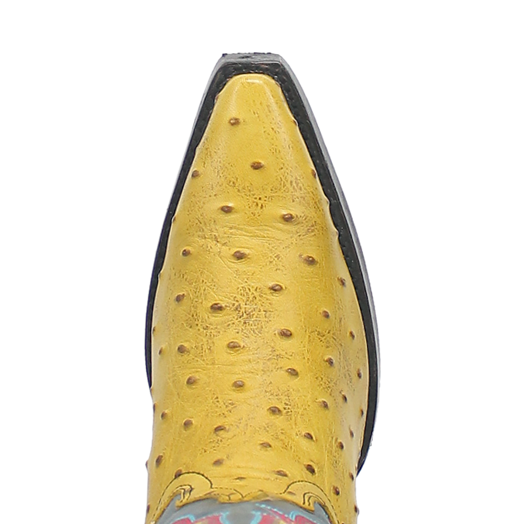 Dingo by Dan Post Selene Leather Yellow Blue DI220