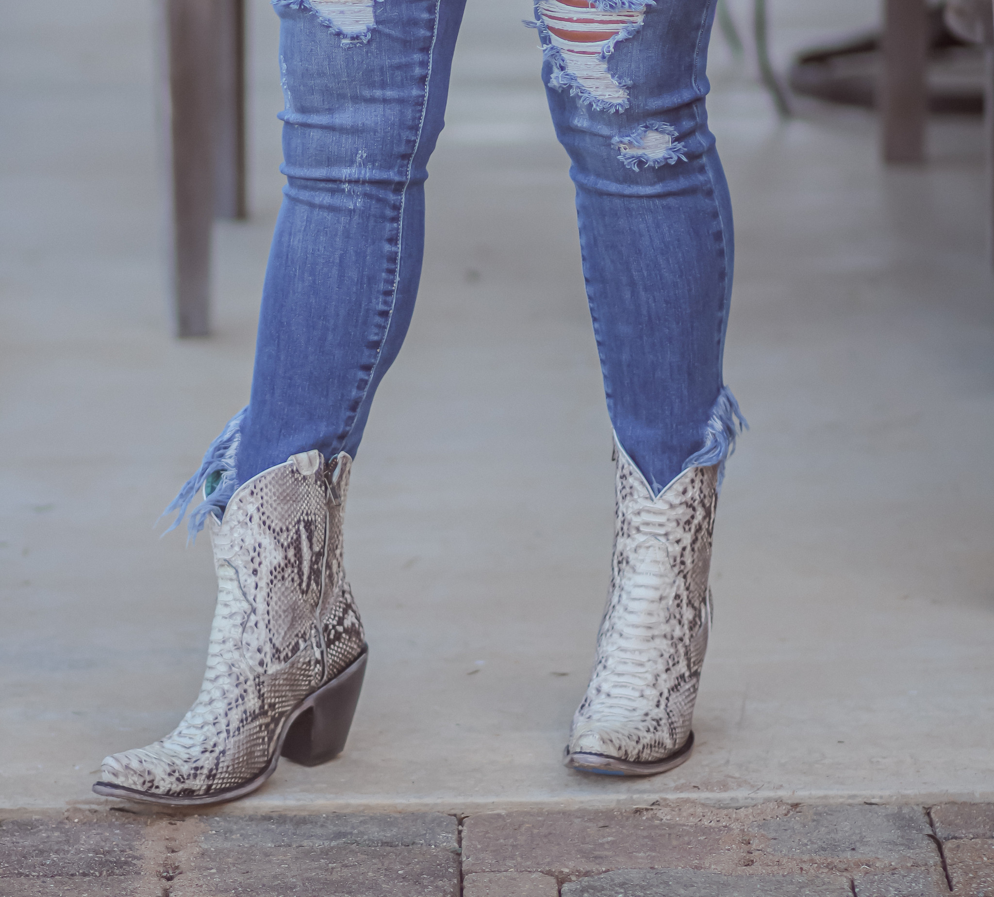 Corral Natural Python Zipper Ankle Boot A3791