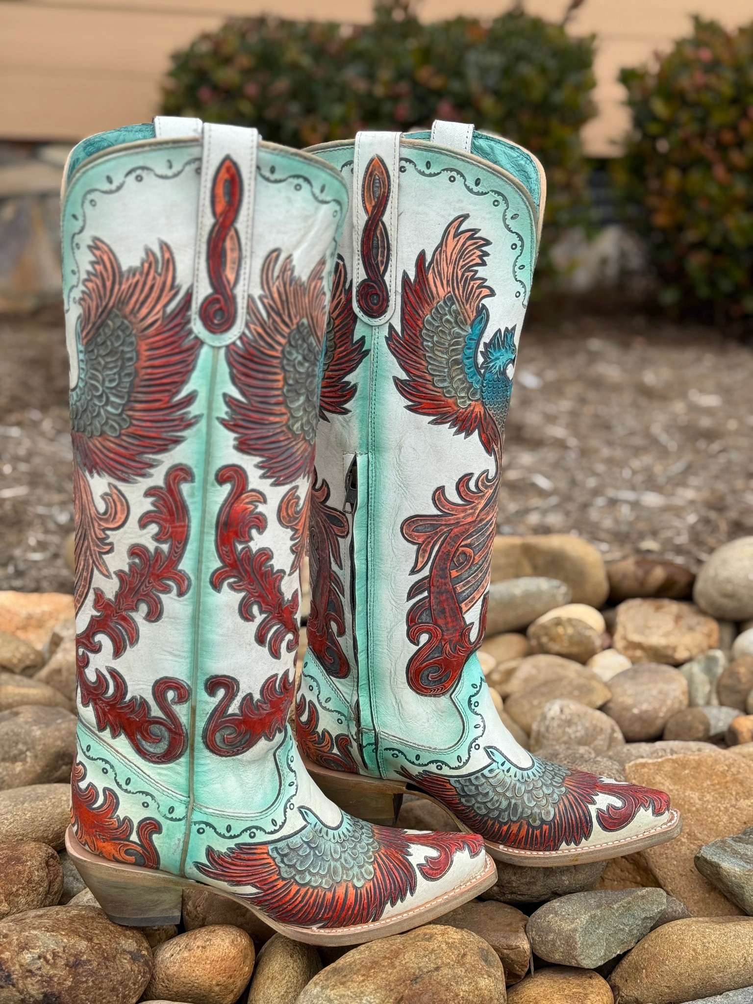 Corral White Hand Tooled Painted Fire Phoenix A4516