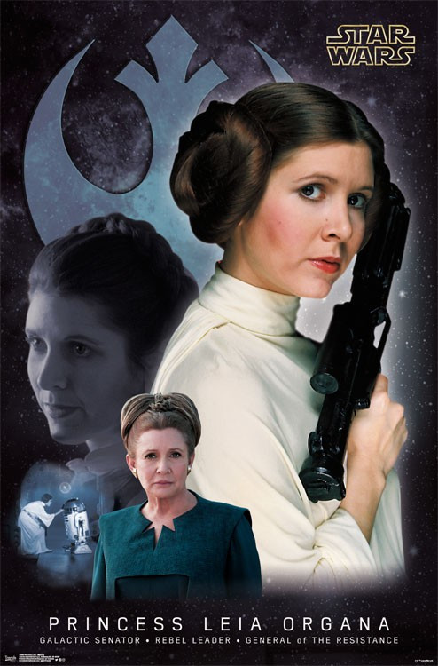 Princess Leia Stencil