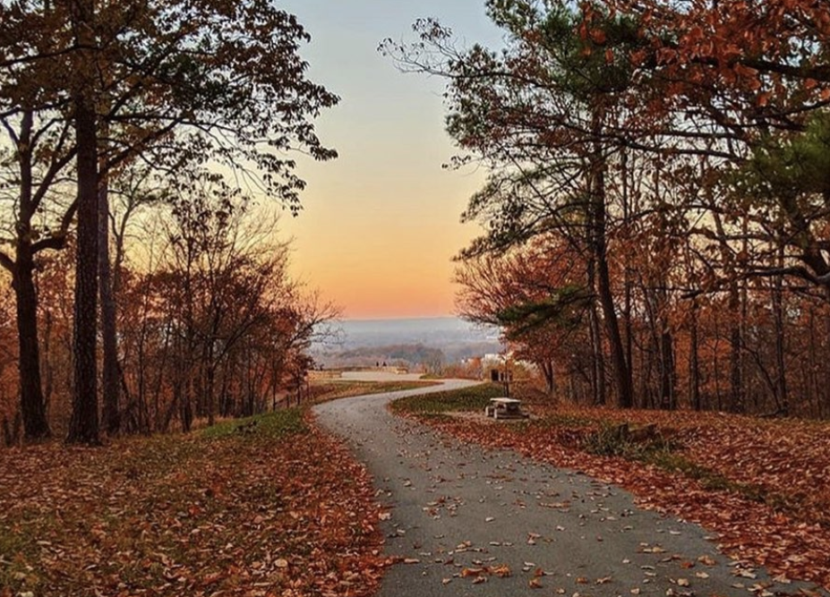 10 Favorite Scenes of Parks in Autumn Splendor - Kenneth Lynch and Sons