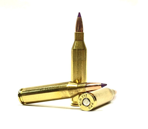 SAA .243 Win. 75 Grain Ballistic-Tip (Polymer Tip) - 20 Rounds NEW ...