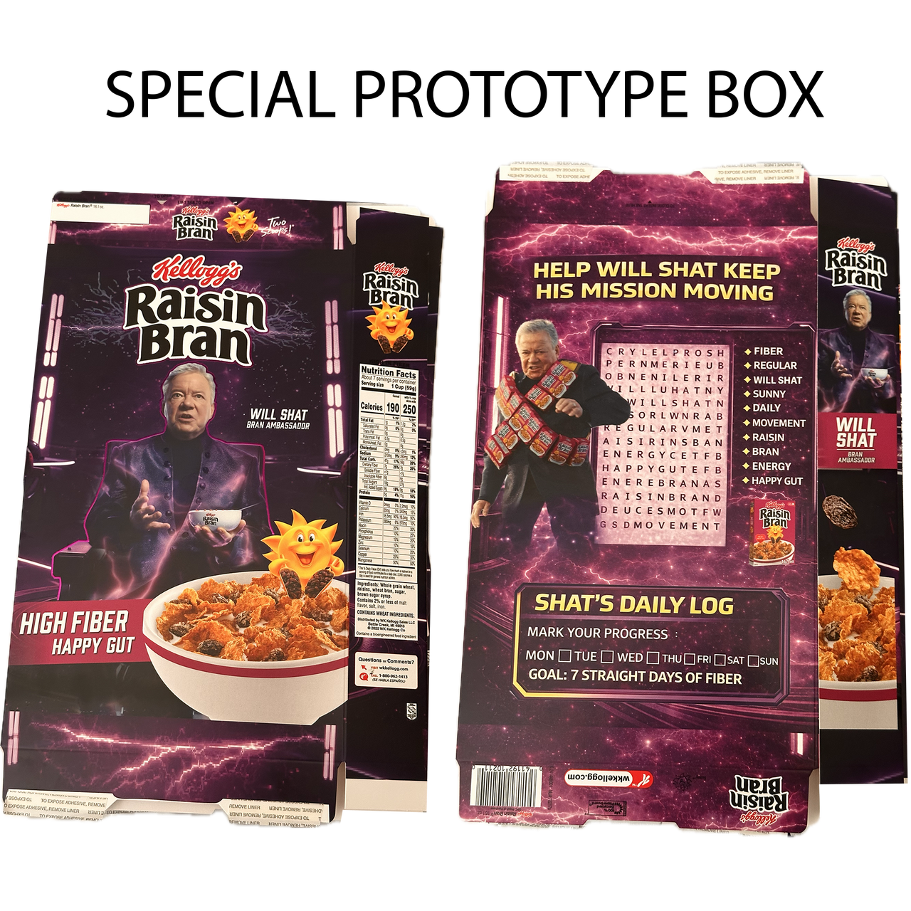 Unique Kelloggs Raisin Bran Sample/Protoype Box