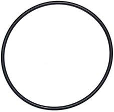 CAL SPA Filter Lid Oring - Shop Western Tub & Pool for hot tub sales ...