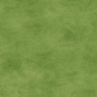 Maywood Studio Fabric - Shadow Play - Spring Green #MAS513-GG5