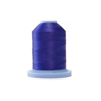 Robinson Anton Thread Purple Twist #5729
