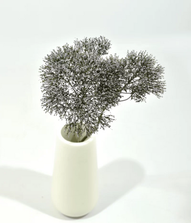 Corine Light Blue, 60cm, 10 Stems, DOÑA NATALIA - Victoria's Blossom INC