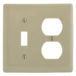 Hubbell Nylon 2-Gang 1-Duplex Receptacle 1-Toggle Switch (Ivory)
