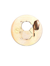 Wiremold Brass Comm Duplex Cover Plate
