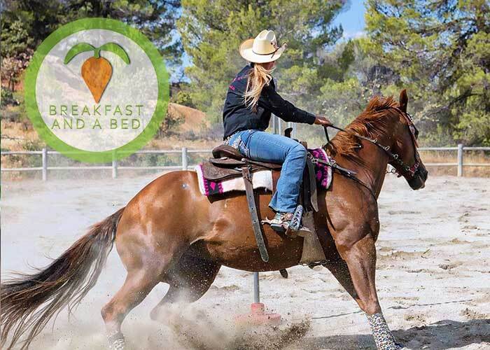 Texas Bed and Breakfast at Breakfast and a bed