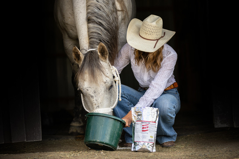 When to use a Muscle Supplement - Med Vet Pharmaceuticals