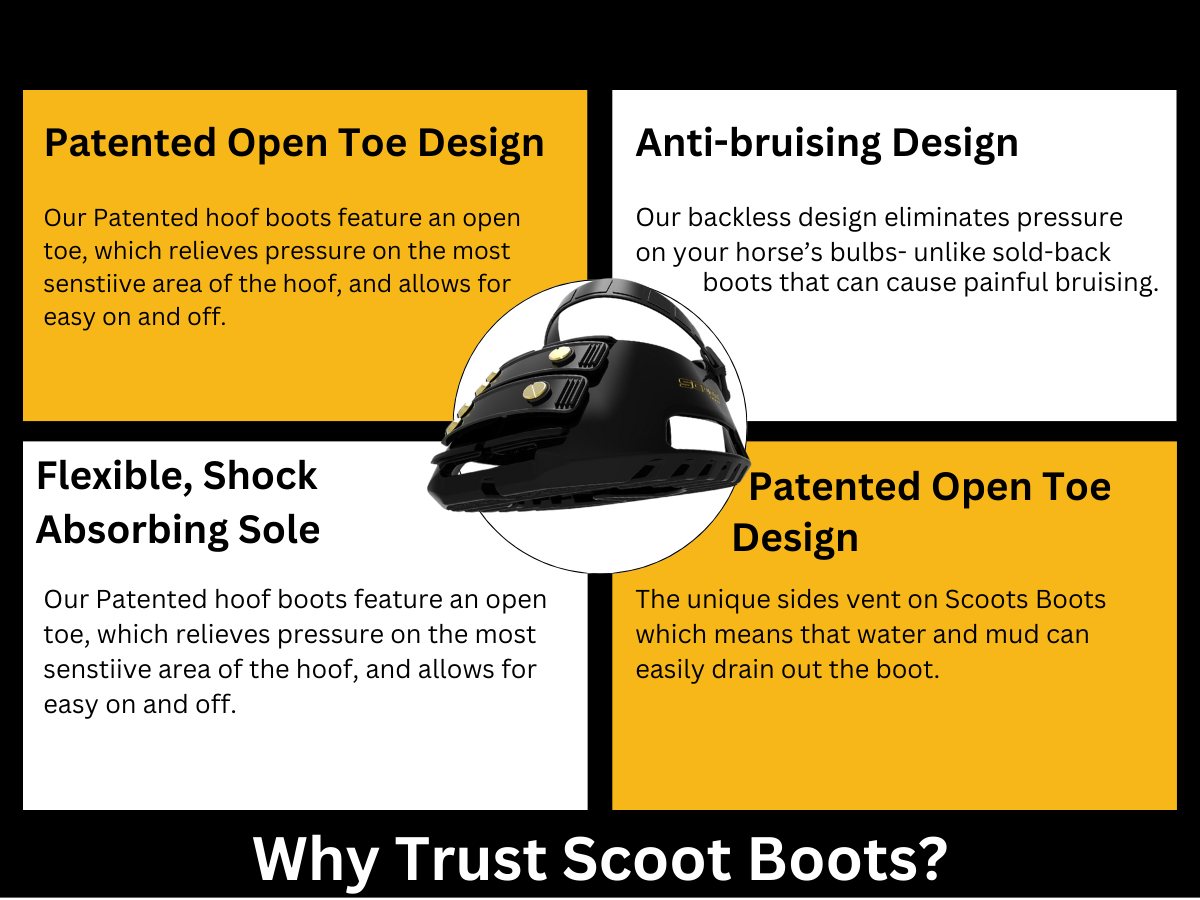 TryScootBoots.com Try Scoot Boots from your USA Distributor!