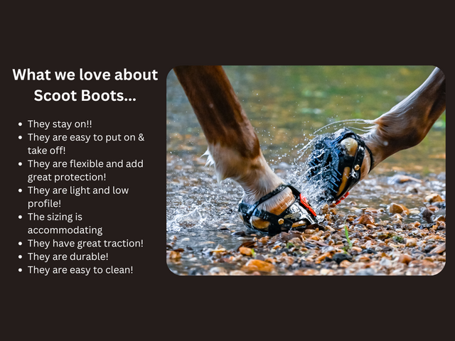 TryScootBoots.com Try Scoot Boots from your USA Distributor!
