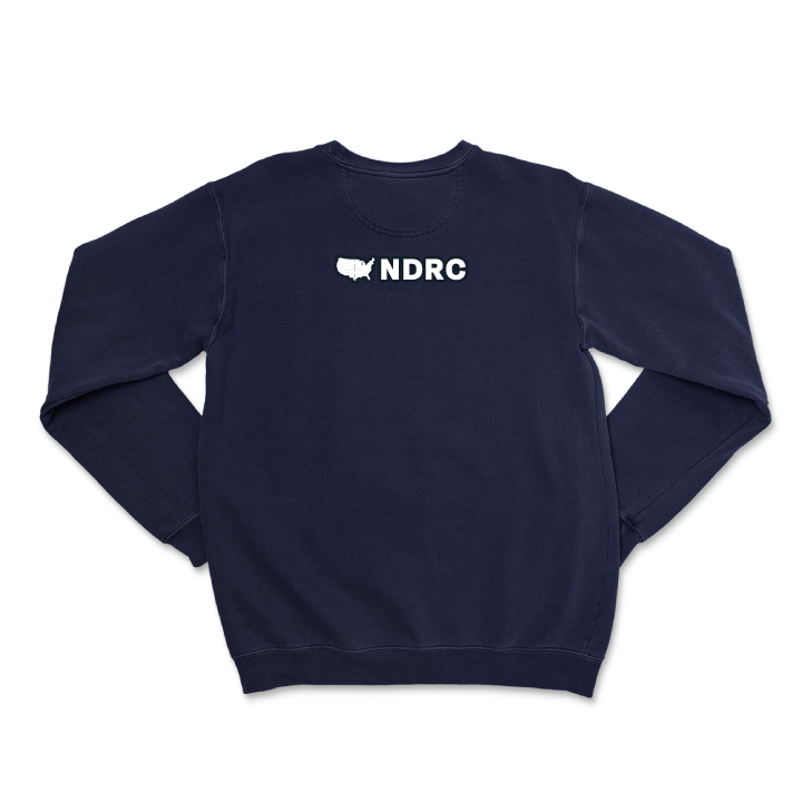 Democracy Defender Bundle (Large) - NDRC Webstore