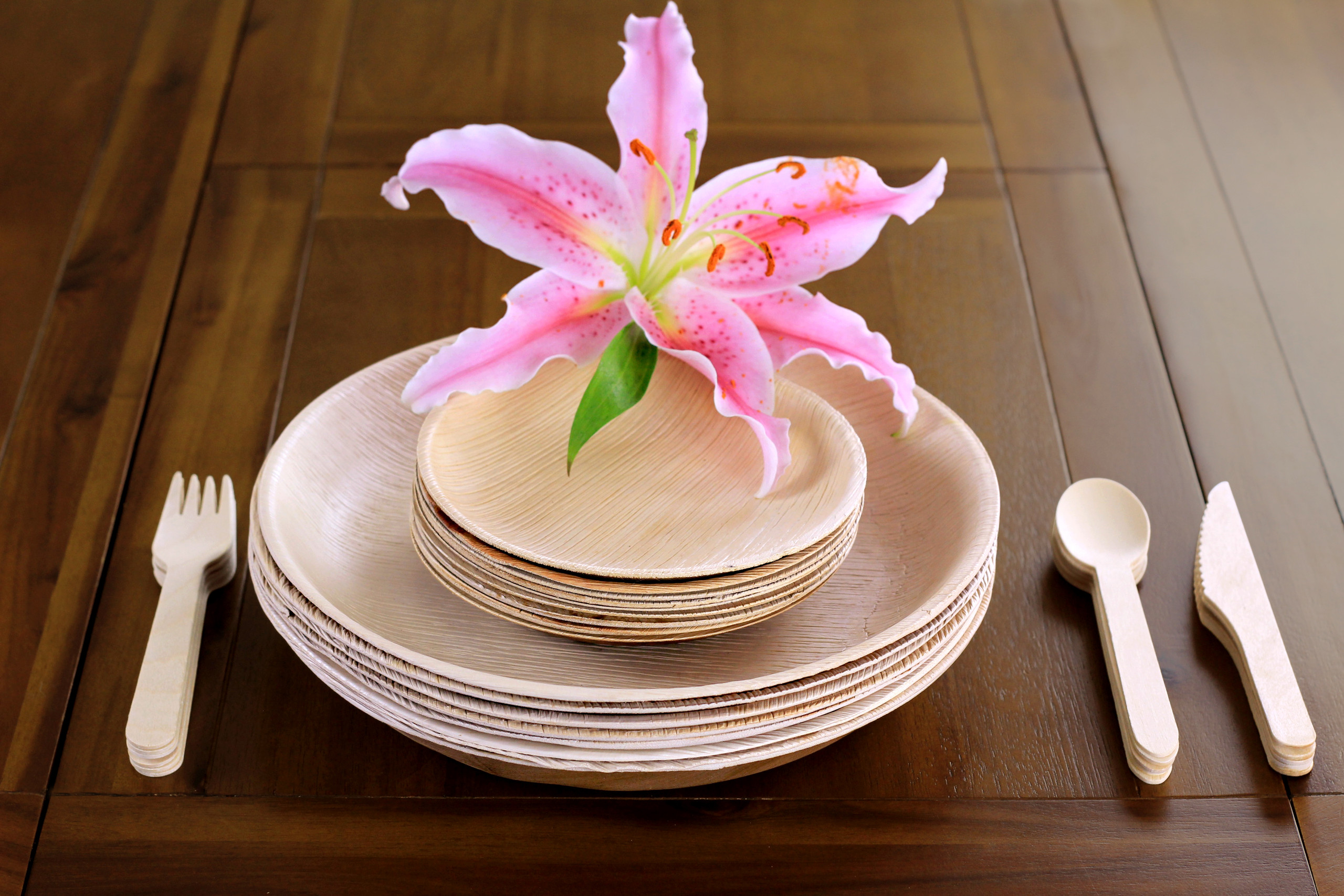 Palm Leaf Plates | All Biodegradable