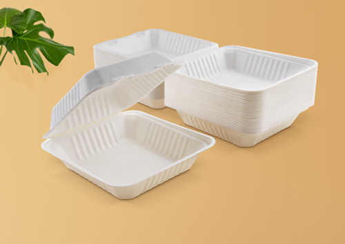 Cutlery & More - Takeaway Boxes - FOOGO Green